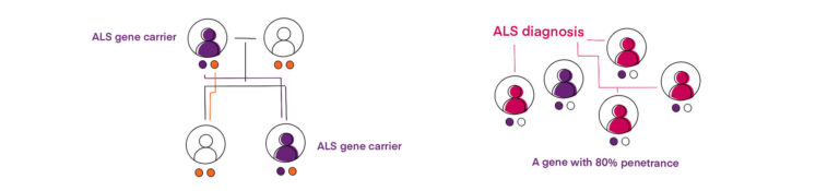 The Basics Of ALS Genetics - ALS Society of Canada
